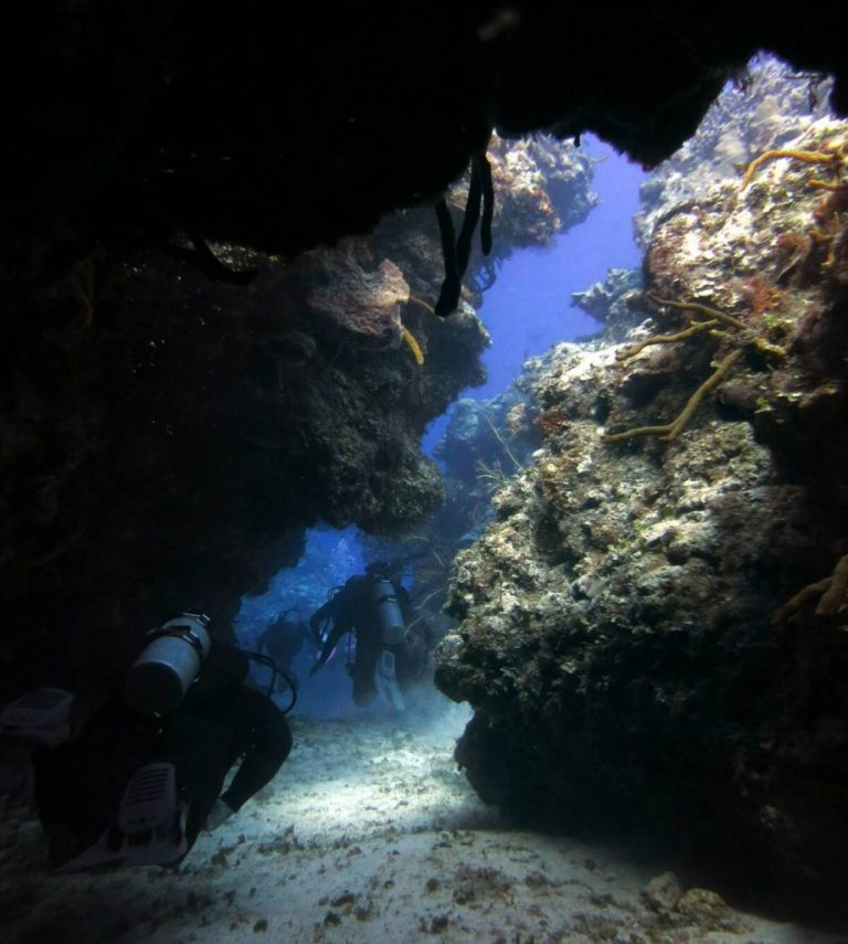 The best dive sites in Cozumel - BlueProject